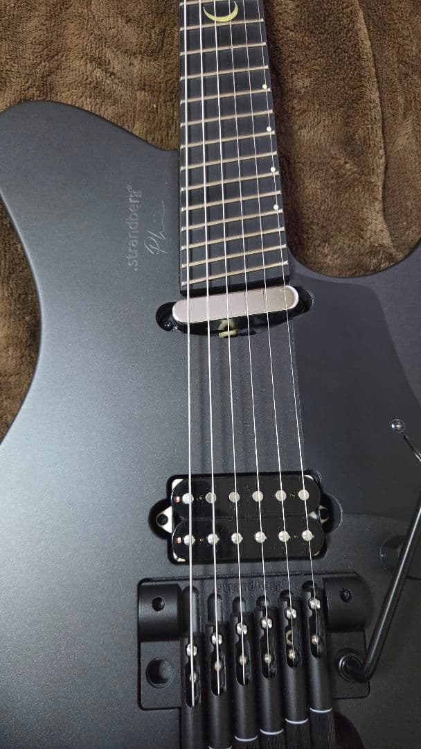 Strandberg salen pliniモデル ヘッドレスギター