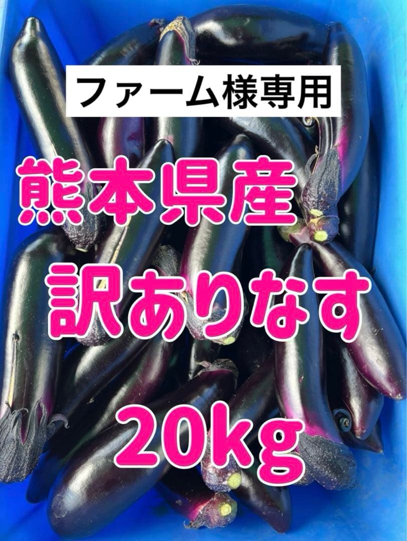 【ファーム】 熊本県産 訳ありなす 箱込み20kg