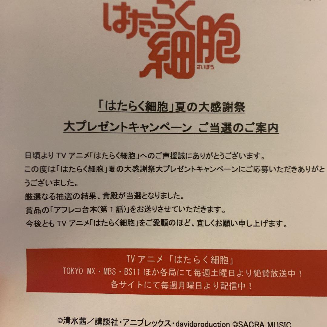 はたらく細胞  1話 アフレコ台本 本物