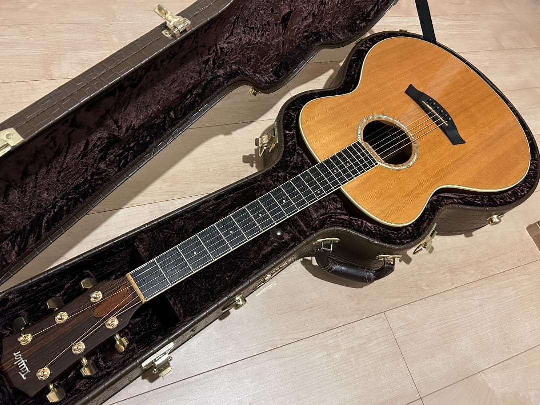 TAYLOR GS (GS8 816 同等) Fishman エレアコ テイラー