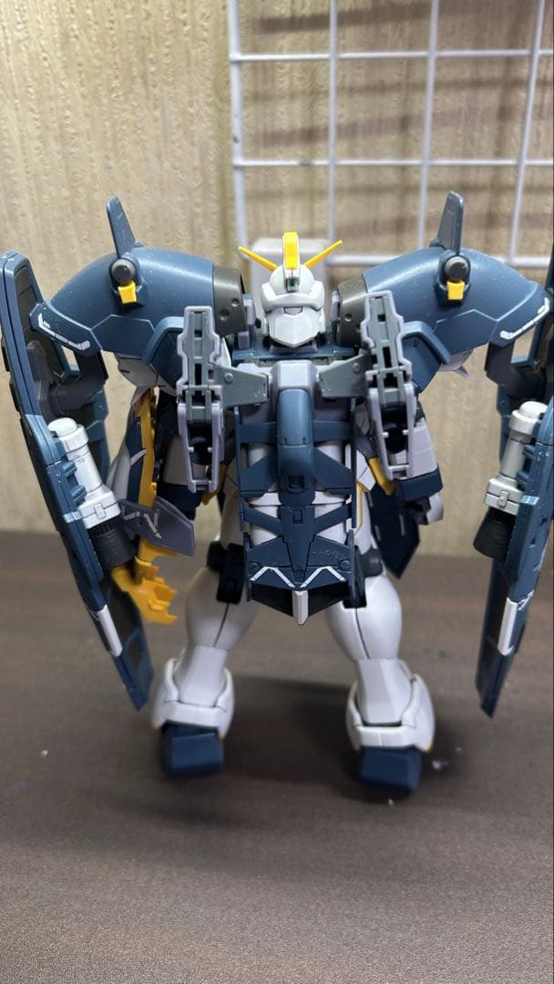 ガンプラ ジャンク プレバン品 2点set まとめ売り MG 2体