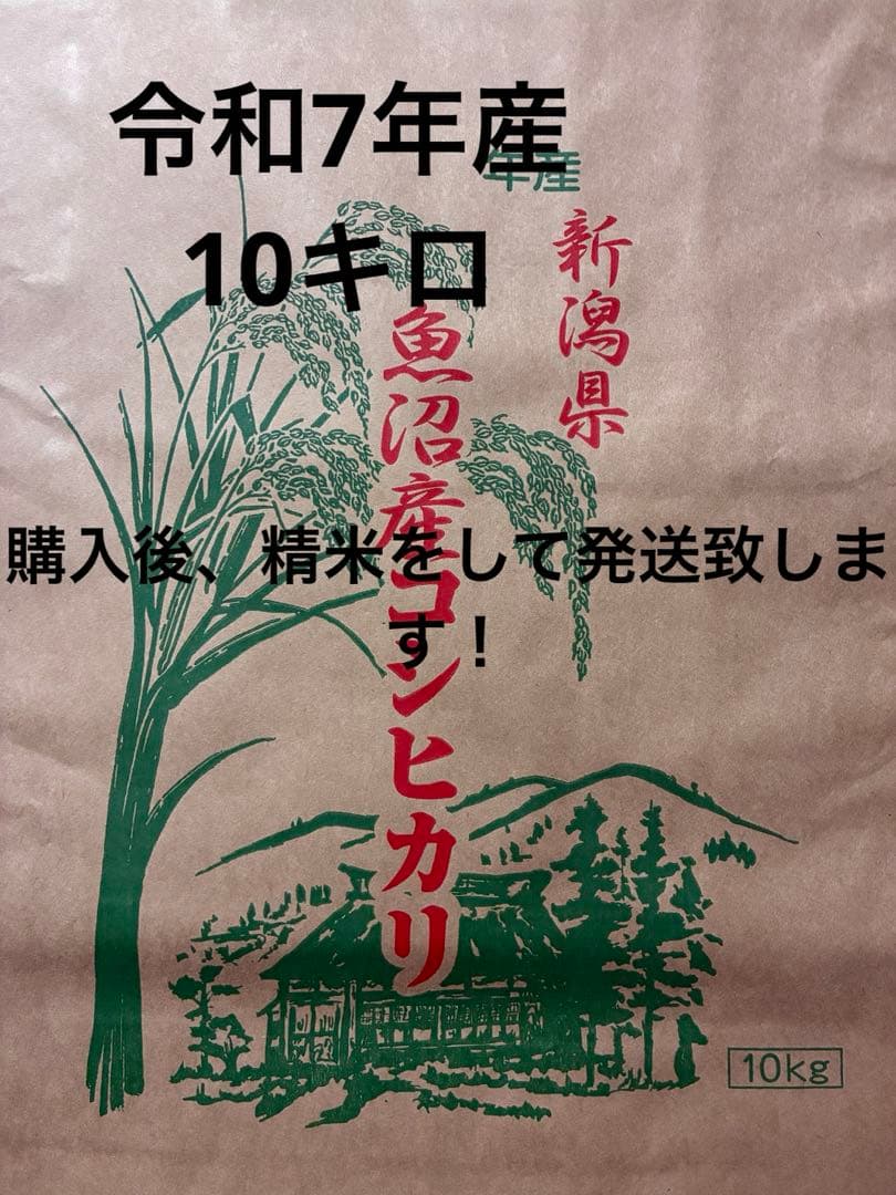 新潟県 魚沼産 コシヒカリ 10kg
