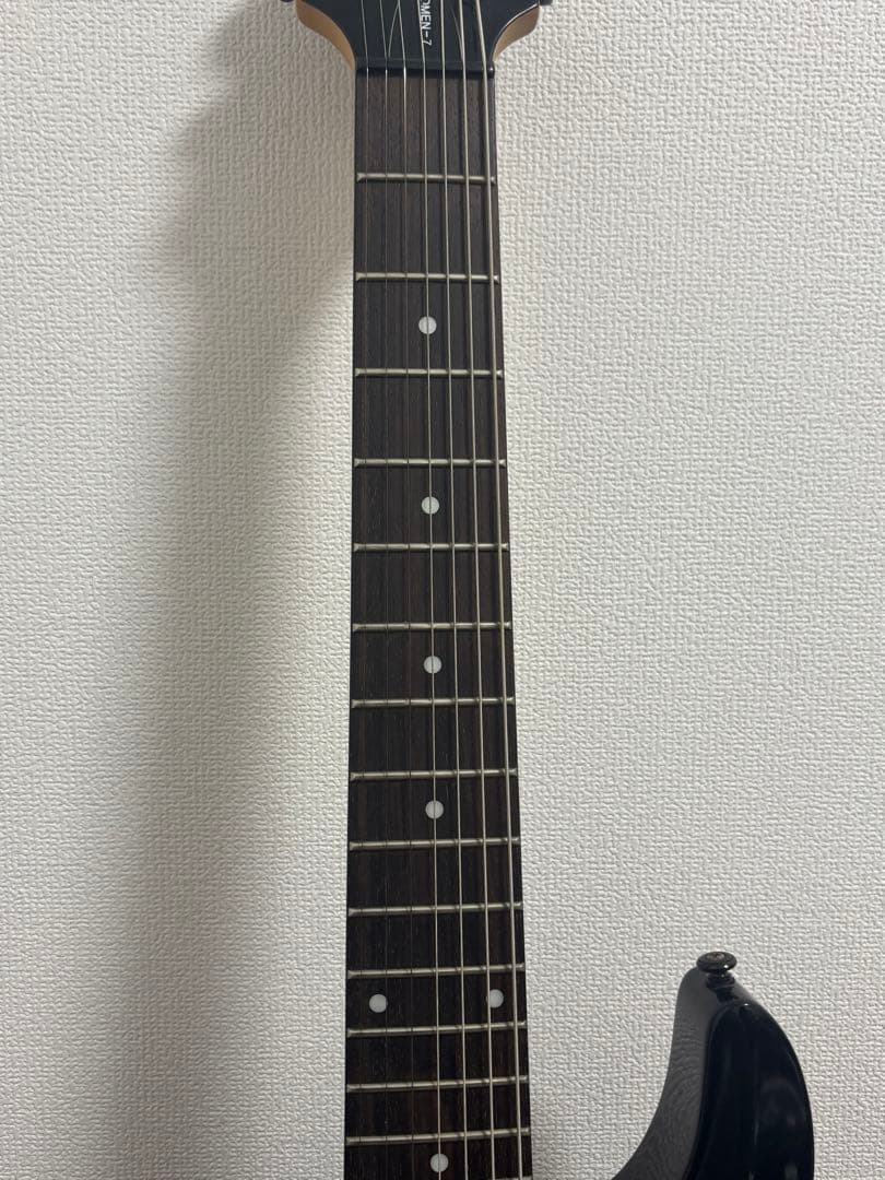 SchecterシェクターDiamond series O-men7 レフティー