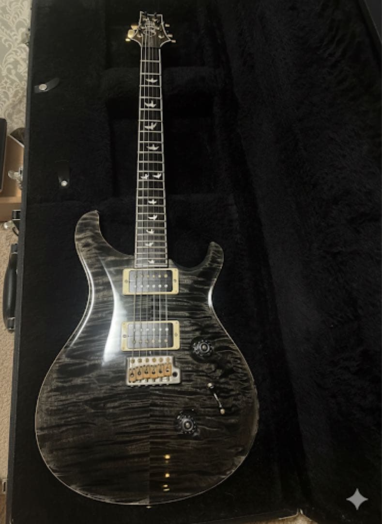 ギター PRS Custom 24 30th Anniversary 10-top