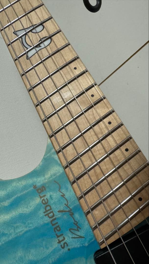 朝日六花コラボモデル ストランドバーグ strandberg 6弦 ケース付き
