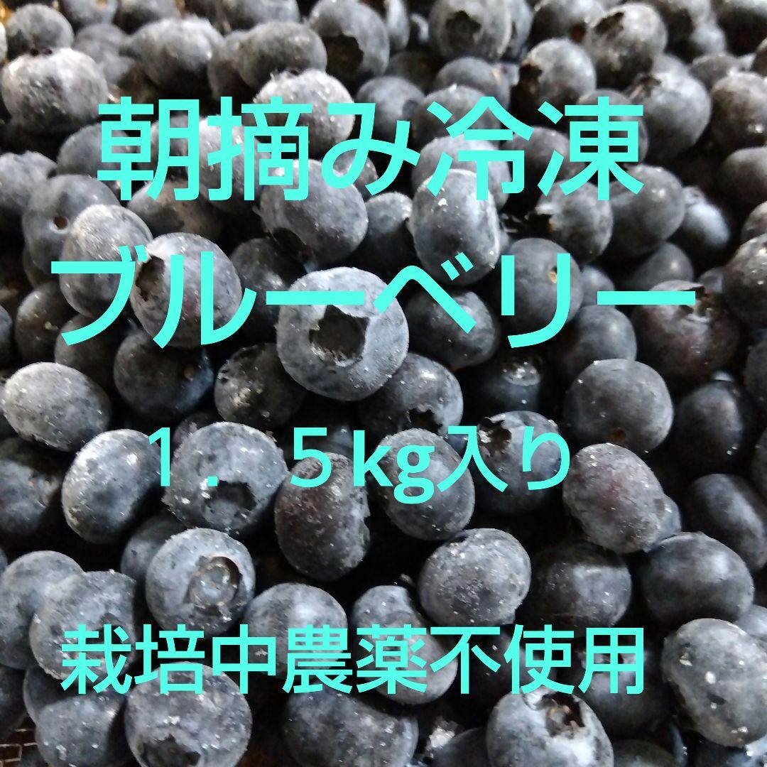 朝摘み冷凍ブルーベリー4キロ入り