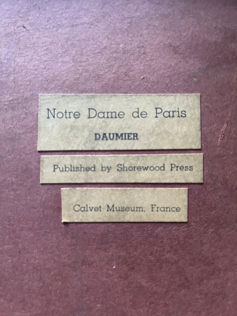 ノートルダム絵画、ノートルダムドパリ、ドーミェ、カルヴェ美術館、フランス