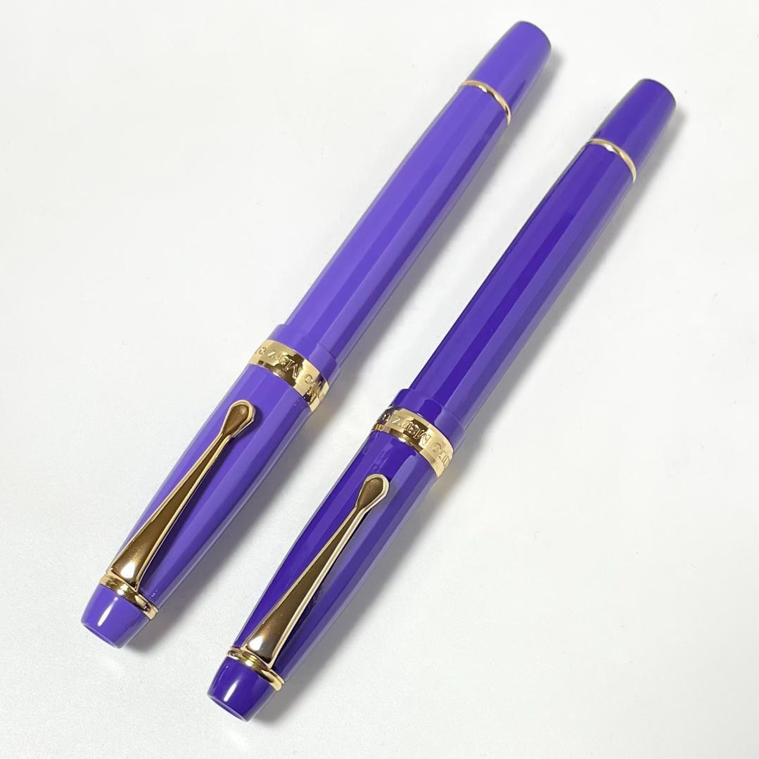 【ほぼ未使用】カンポマルツィオ OLD ELITE 万年筆 水性ボールペン 青紫