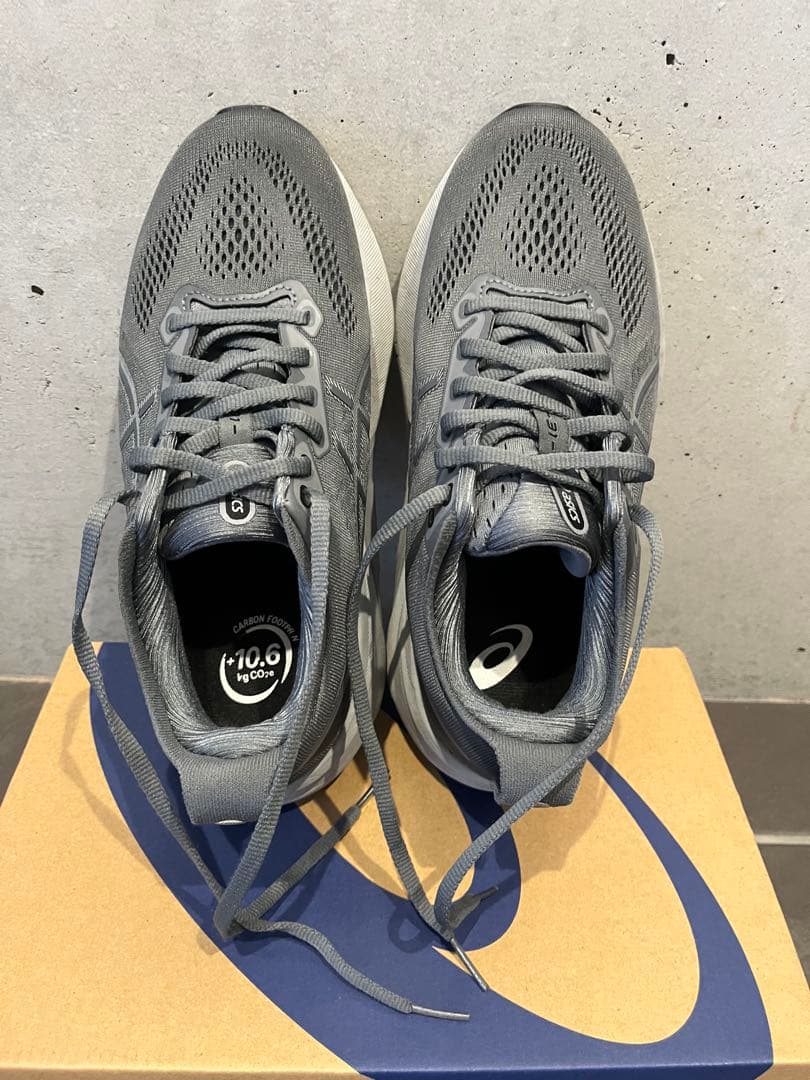 asics GEL-KAYANO31 サイズ25.0アシックスゲルカヤノ31美品