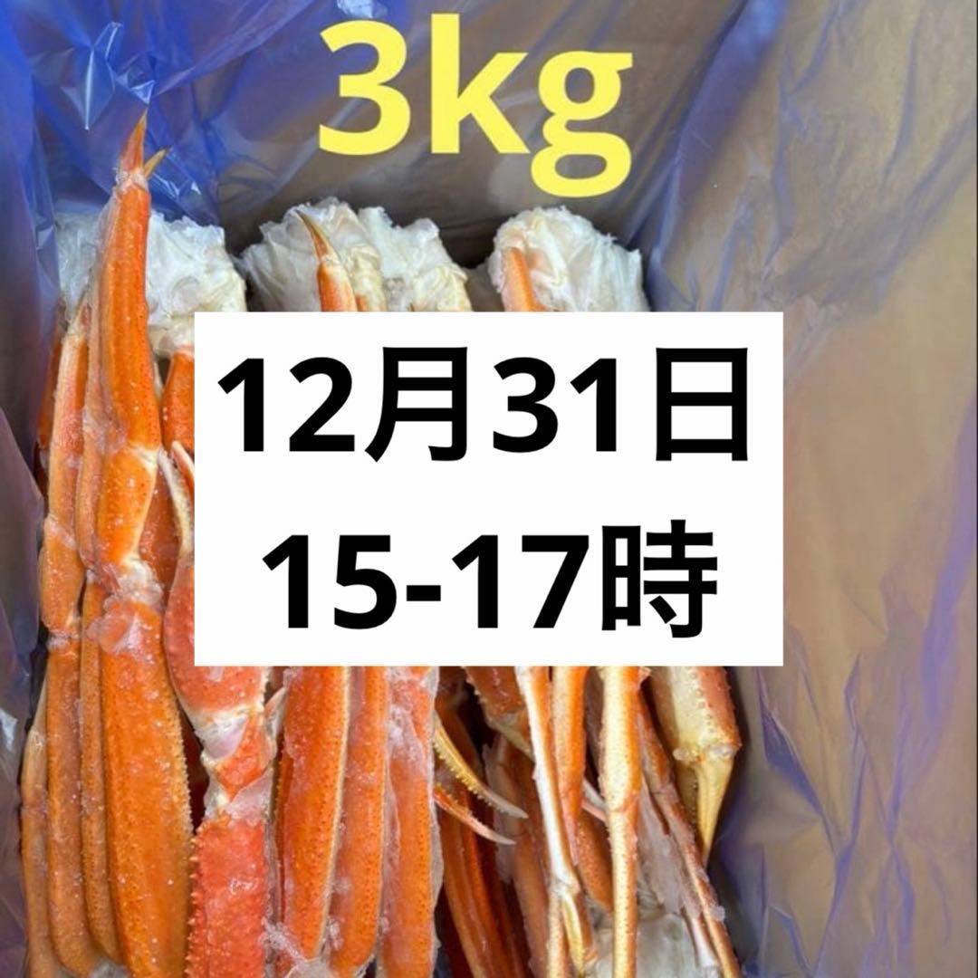 【12月31日15-17時】こちかめ　3キロ