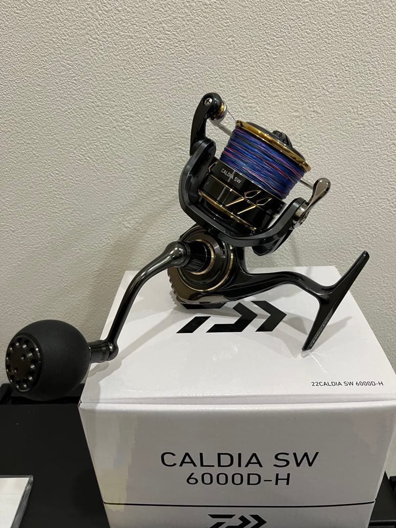 Daiwa CALDIA SW 6000D-H スピニングリール