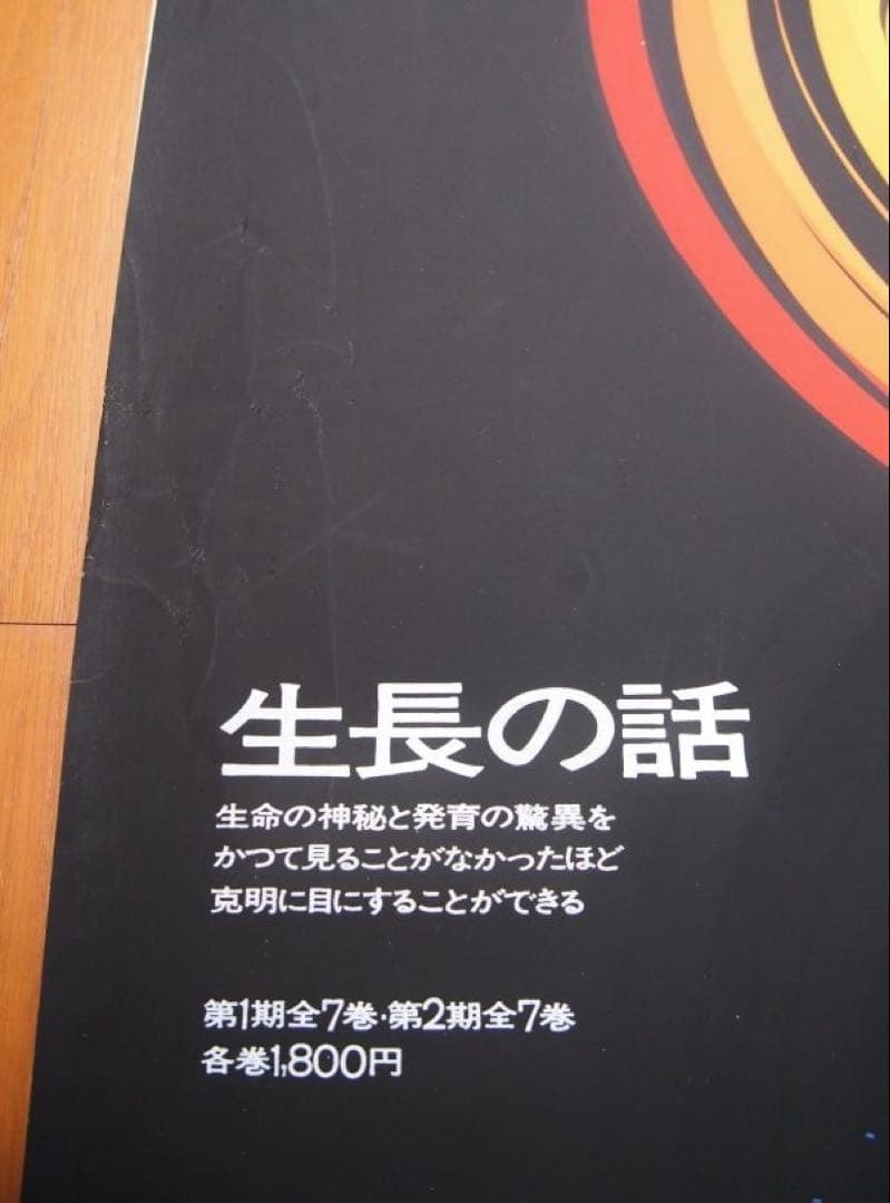 永井一正 シルクスクリーン 生長の話 GROWTH 1966年 額装済