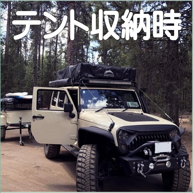 ★訳アリ★Wild Cruiser◆ワイルドクルーザー【WildLand】