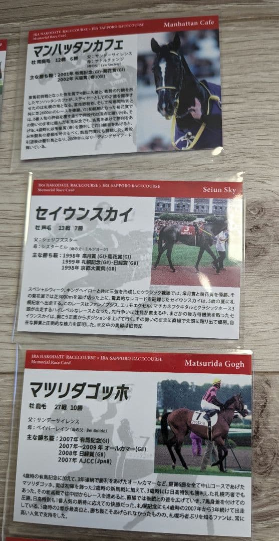 函館競馬場 札幌競馬場 メモリアル カード 26枚 競馬 競走馬 ウマ娘 グッズ