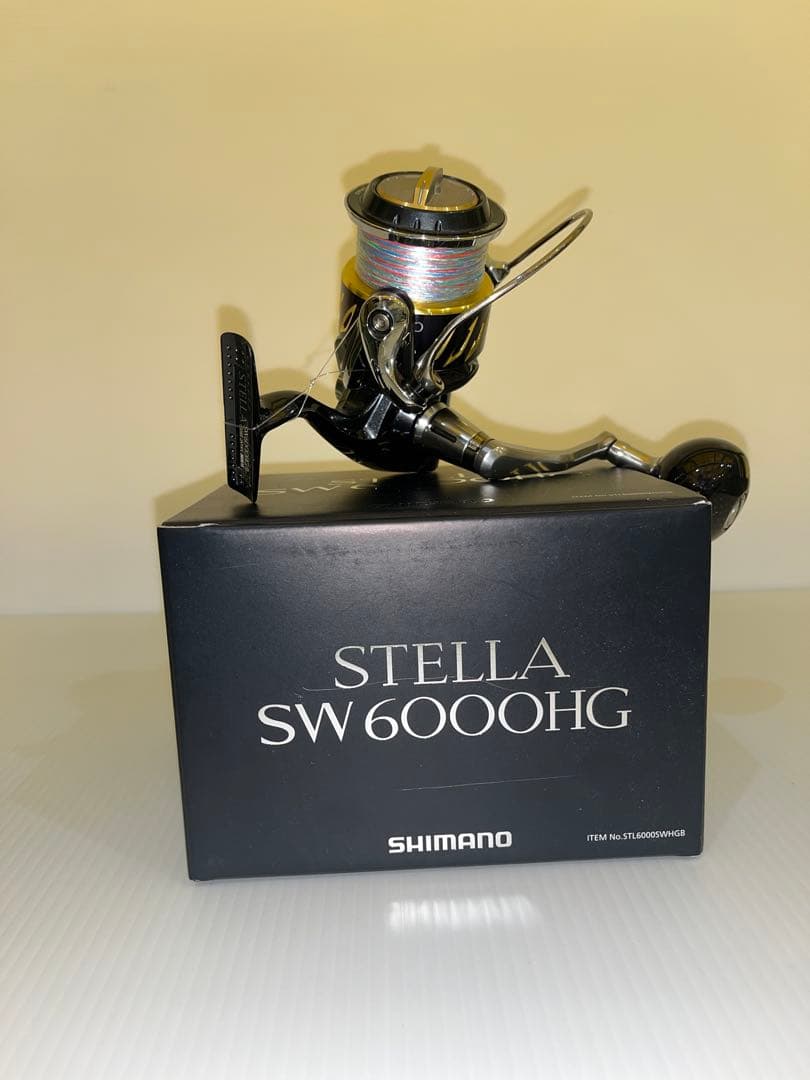 リール SHIMANO STELLA SW6000HG