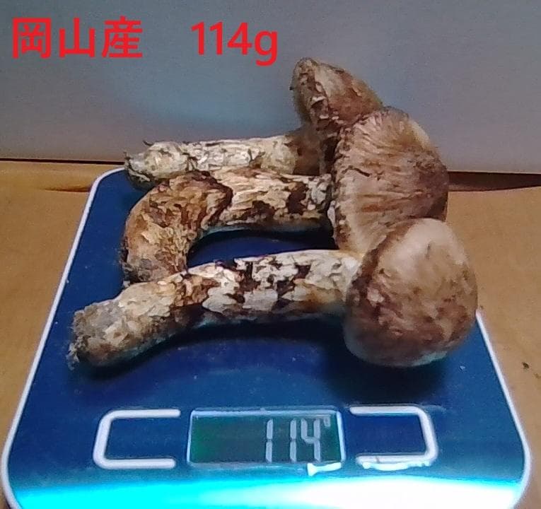 松茸　１１４ｇ