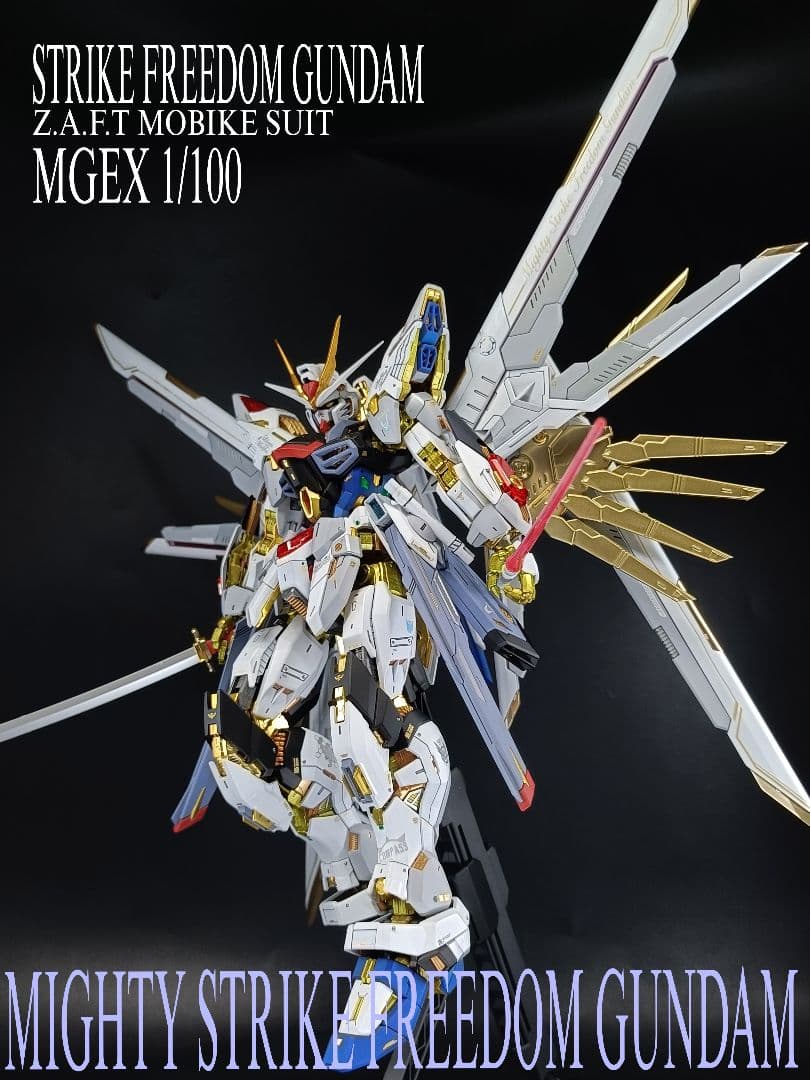 MGEX ストライクフリーダムガンダム　全塗装　完成品　MG