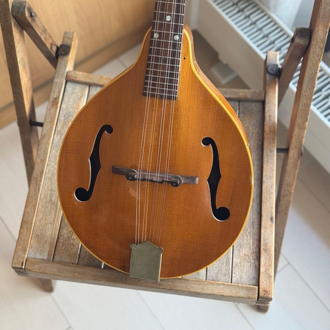 <超貴重特A>GibsonマンドリンA40-N 1940s ~1950s
