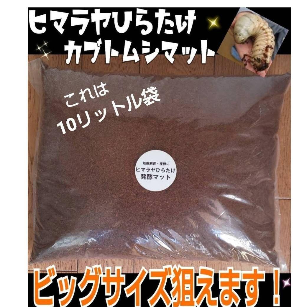 カブトムシ幼虫の餌、産卵にはコレです！改良版！発酵マット50L☆大きくなります！