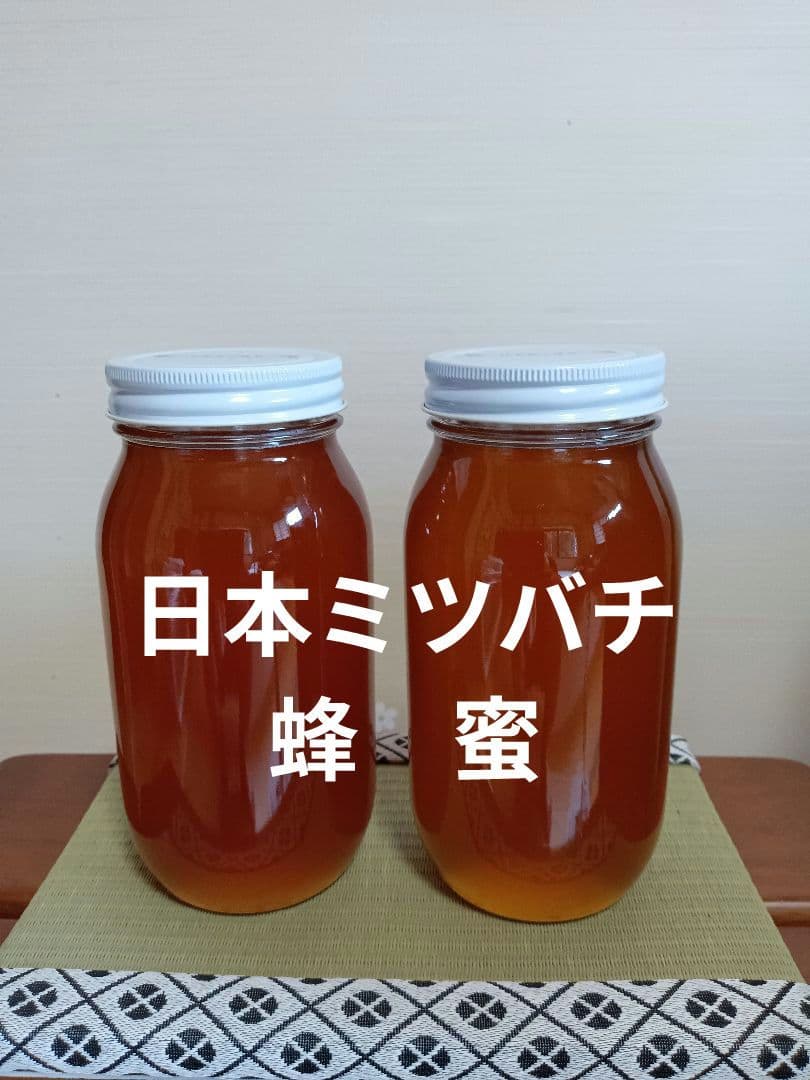 日本ミツバチ蜂蜜（1kg×2本）