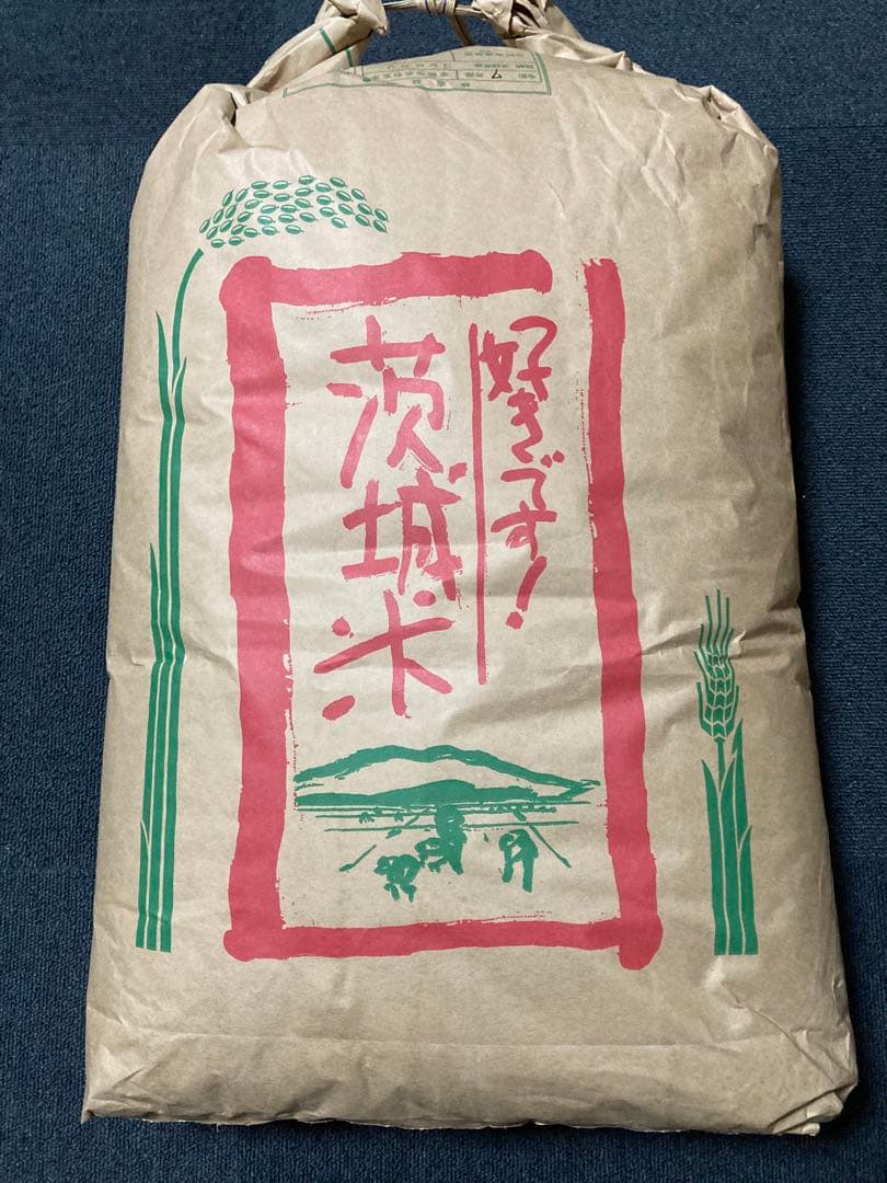 茨城県産　令和7年コシヒカリ　玄米　30kg