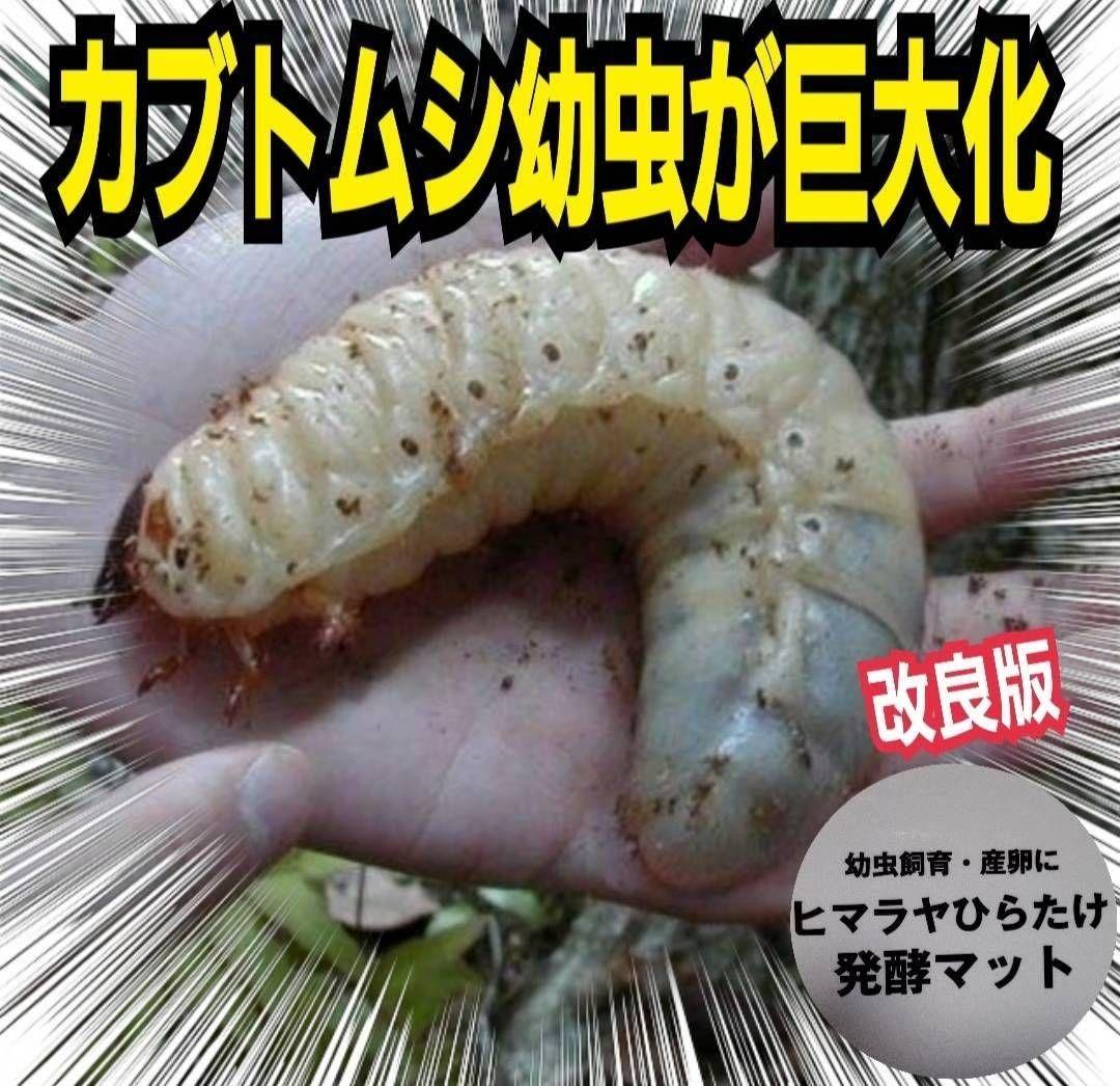 たっぷり100リットル！お買い得！カブトムシ幼虫の餌☆丸々太ります！産卵にも抜群