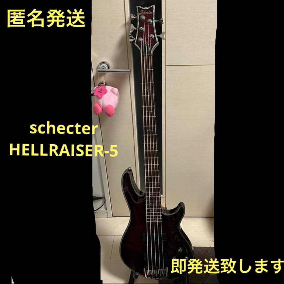 即発送 SCHECTER HELLRAISER-5 5弦ベース 調整済み