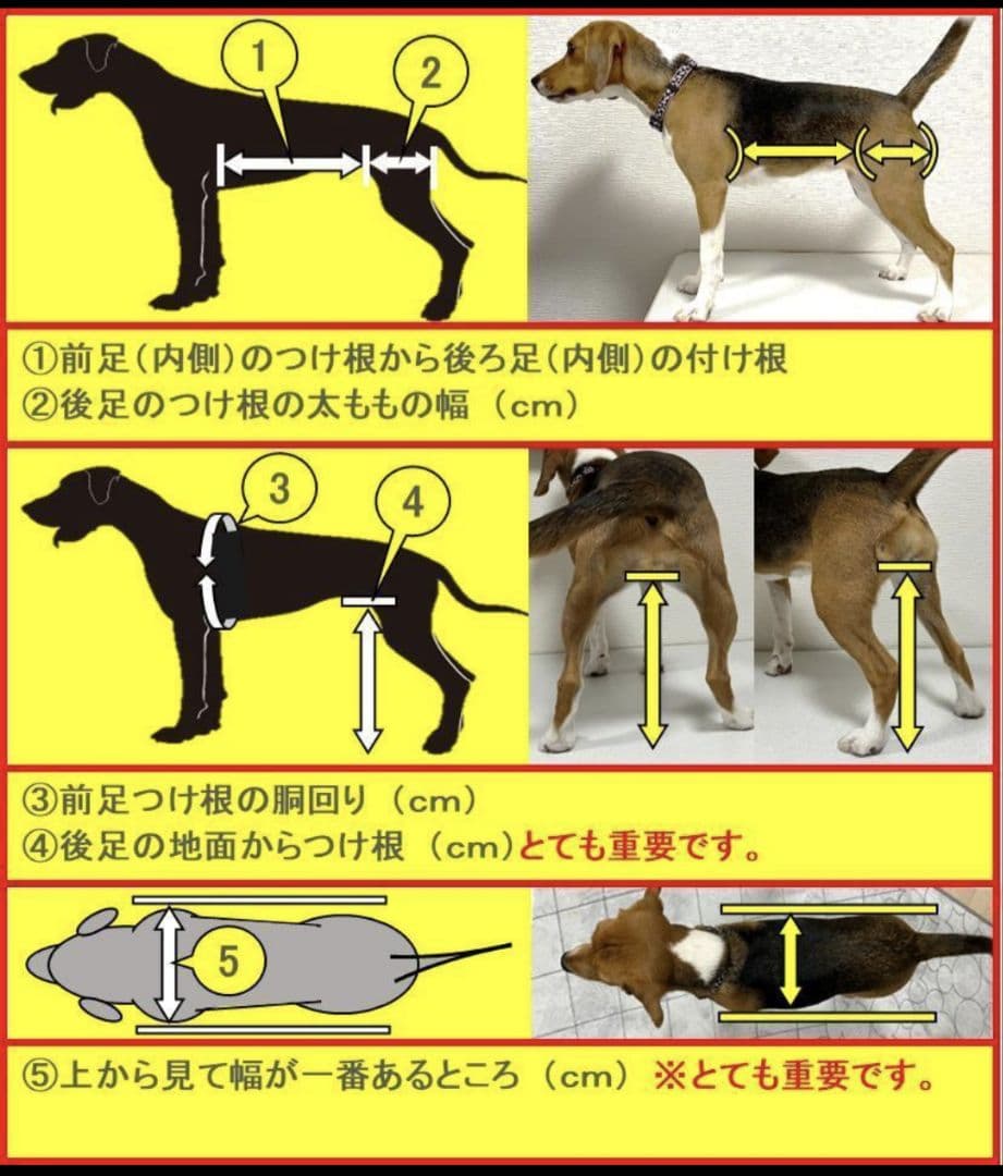 犬用4輪車椅子