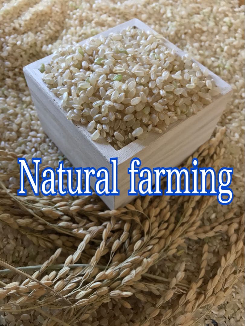 Natural farming自然栽培玄米 ベルツの日記 腸脳相関 食養訓 食育