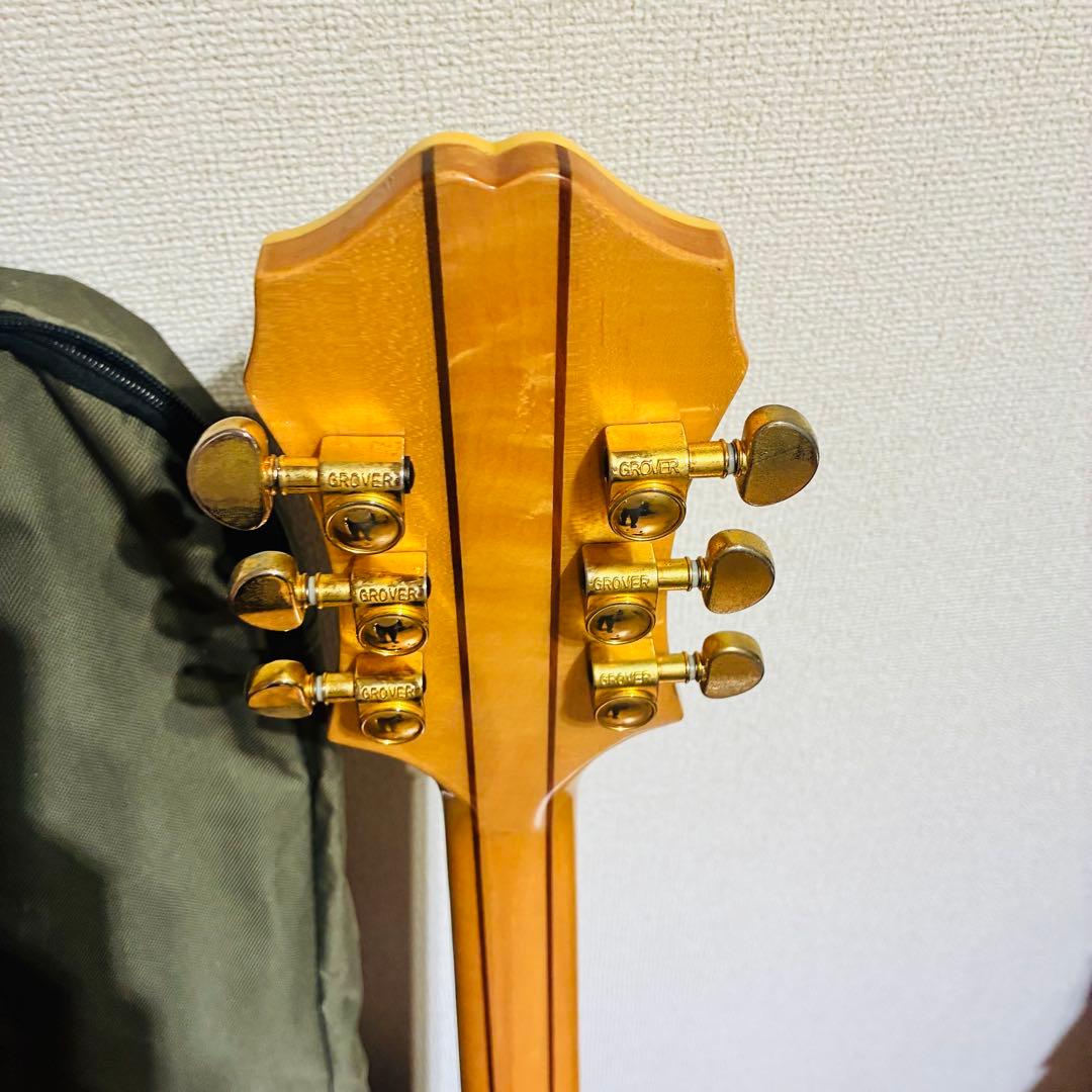 EPIPHONE Sheraton-II 【動作確認済】エピフォン セミアコ