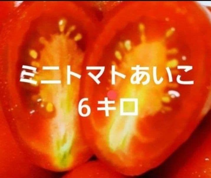 ミニトマトあいこ ６キロ