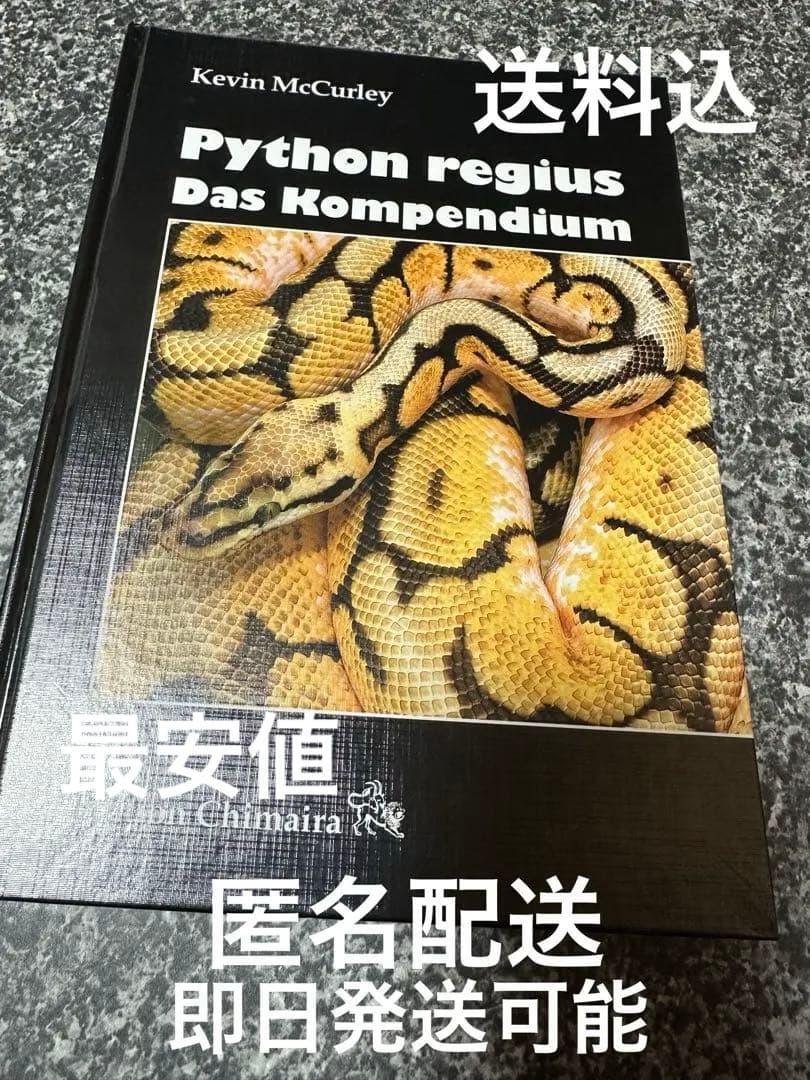pychon regius ボールパイソン図鑑