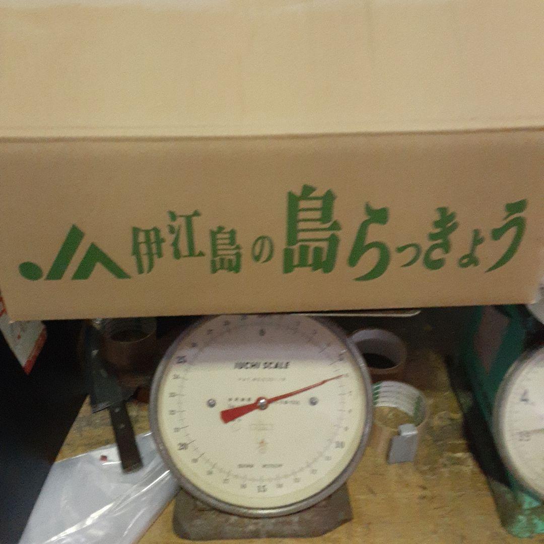 伊江島産♪ 島らっきょう5㎏