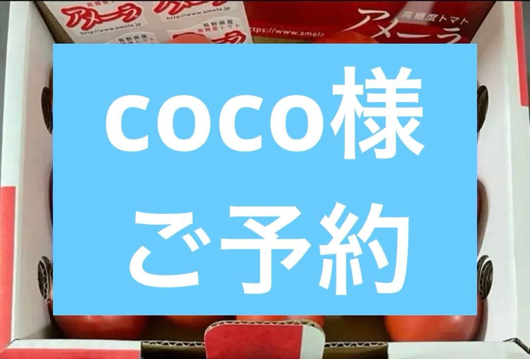coco様