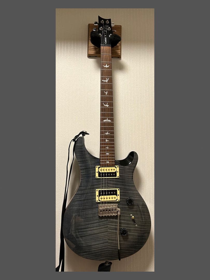 ギター PRS guitar SE custom