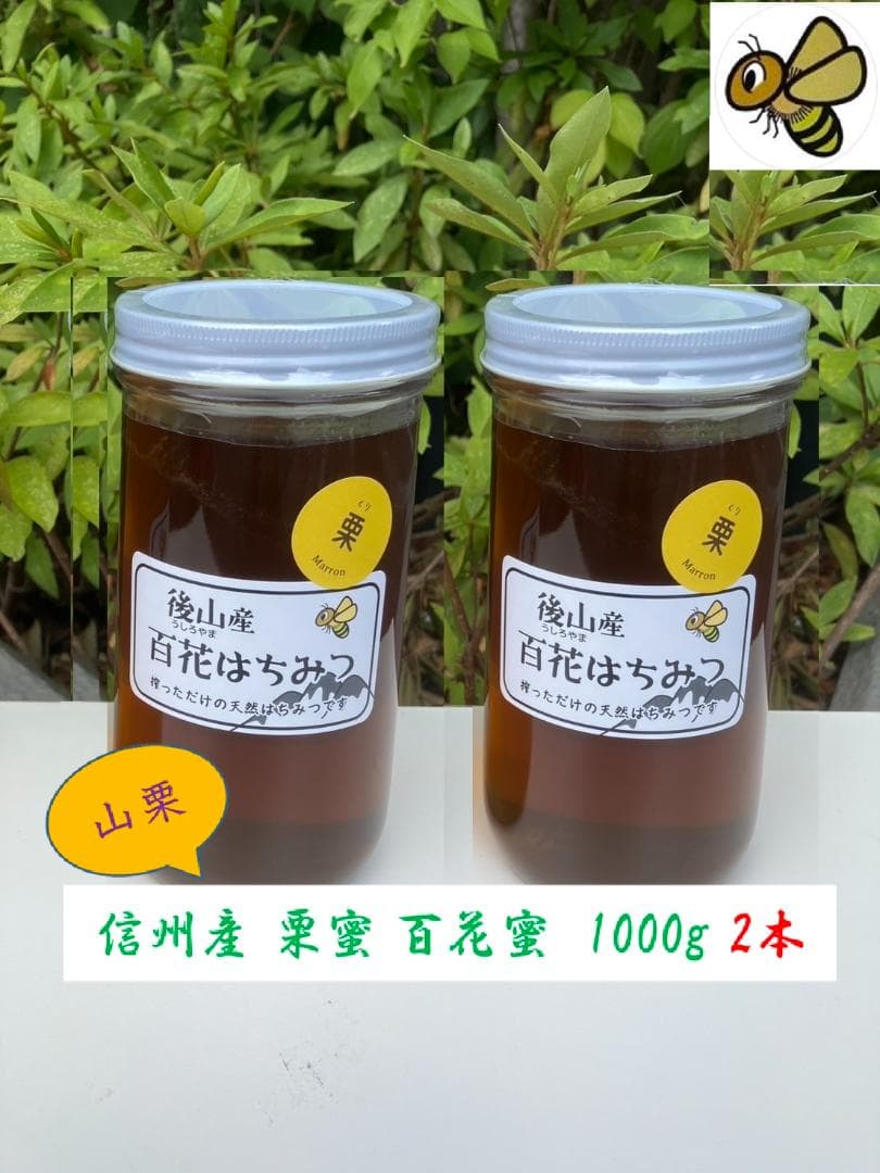 【完売間近】 山栗 百花蜜 1000g 2本 セイヨウミツバチ 栗蜜 国産蜂蜜
