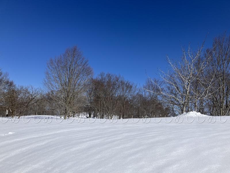 魚沼産コシヒカリ　令和7年産　白米　10キロ　米農家直送②