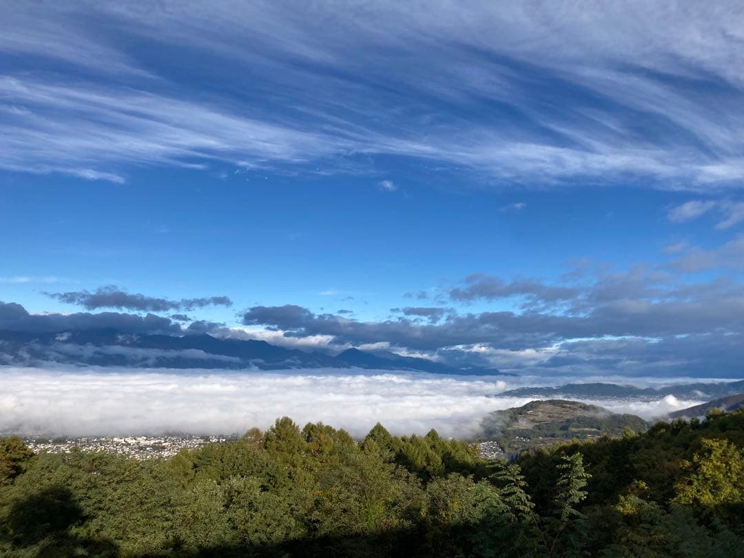 令和7年魚沼産コシヒカリ精米10kg