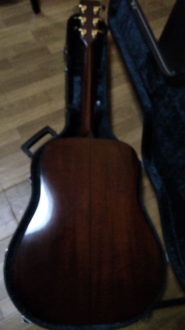 矢入　ヤイリ　yairi RAY-601