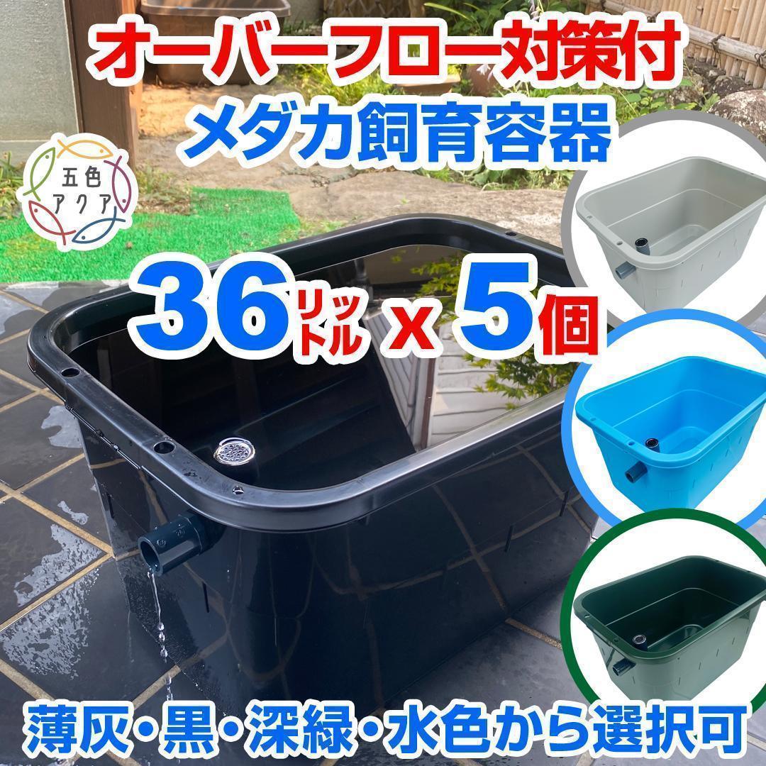 メダカ飼育ケース 36㍑x5個（4色あり） オーバーフロー付 金魚飼育容器 越冬