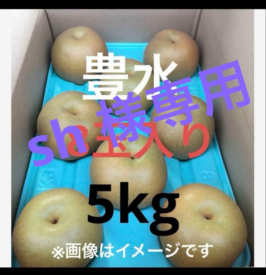 贈答用 超特大 豊水梨 8玉入り 5kg ✖️3箱