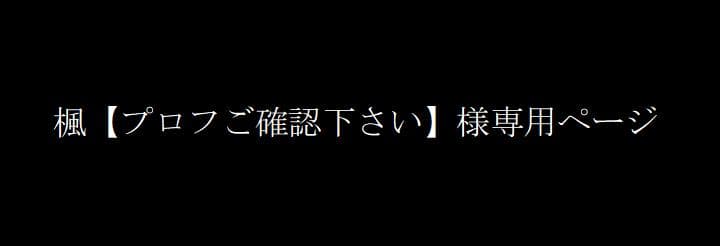 楓【プロフご確認下さい】ページ