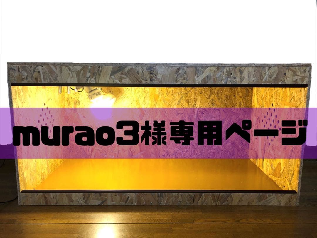 murao3ページ1