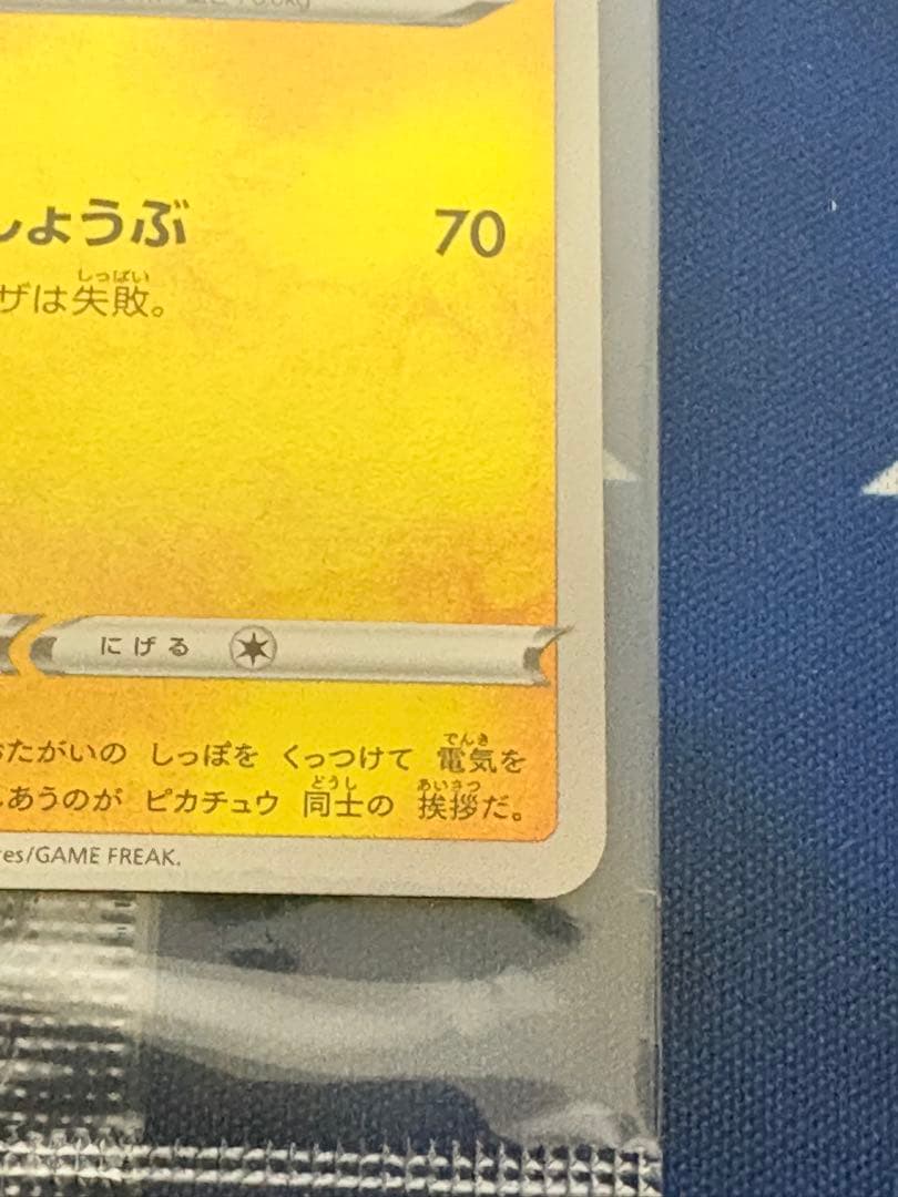 ポケカポケモンカードyunagabaピカチュウ プロモ新品未開封ブイズブラッキー