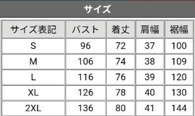 ミッチェル&ネス ニュージャージー・ネッツ ヴィンス・カーター オーセンティック