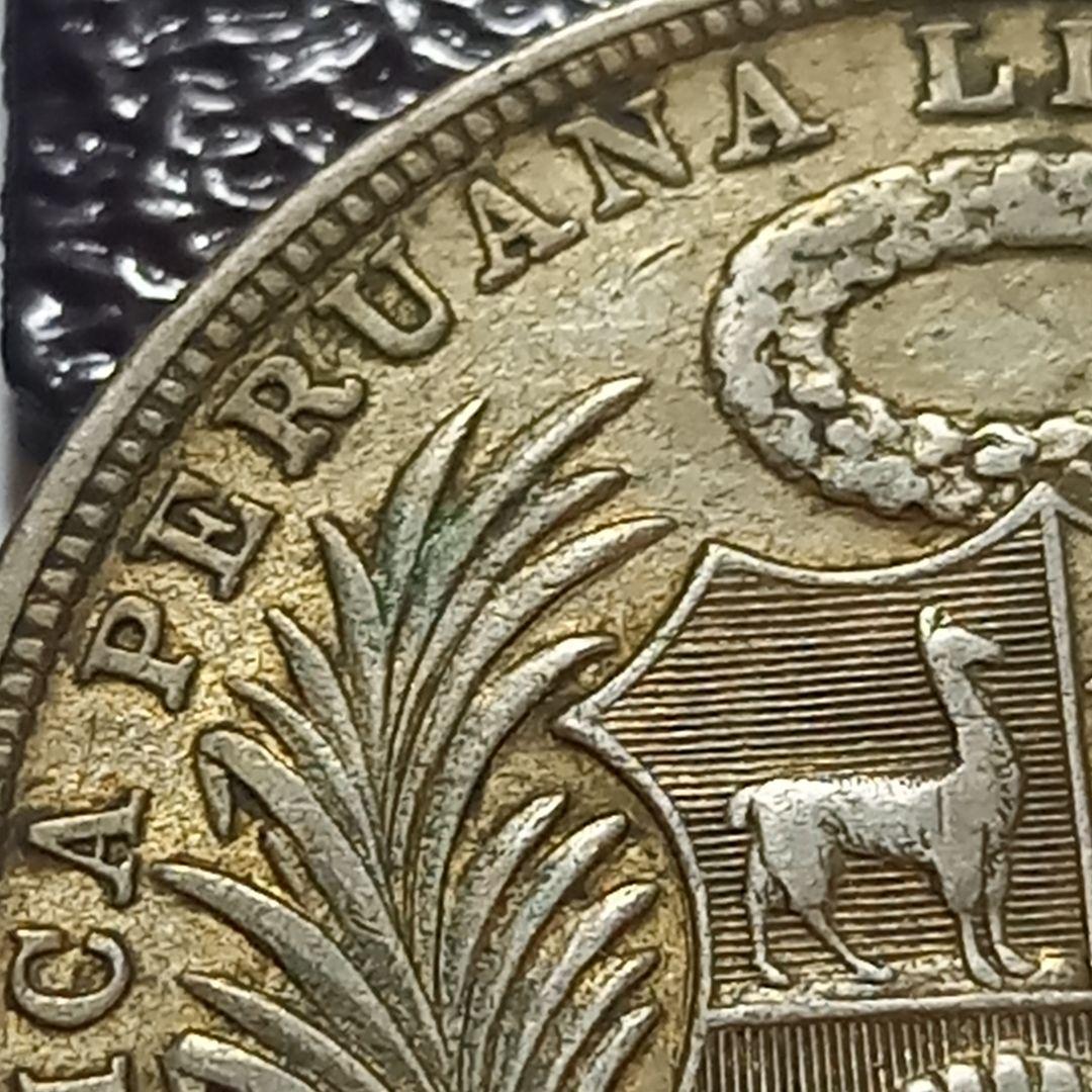 銀貨 1924年 ペルー 大型銀貨 25.01g