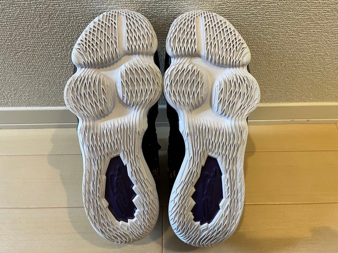 NIKE Lebron 17 Lakers バッシュ
