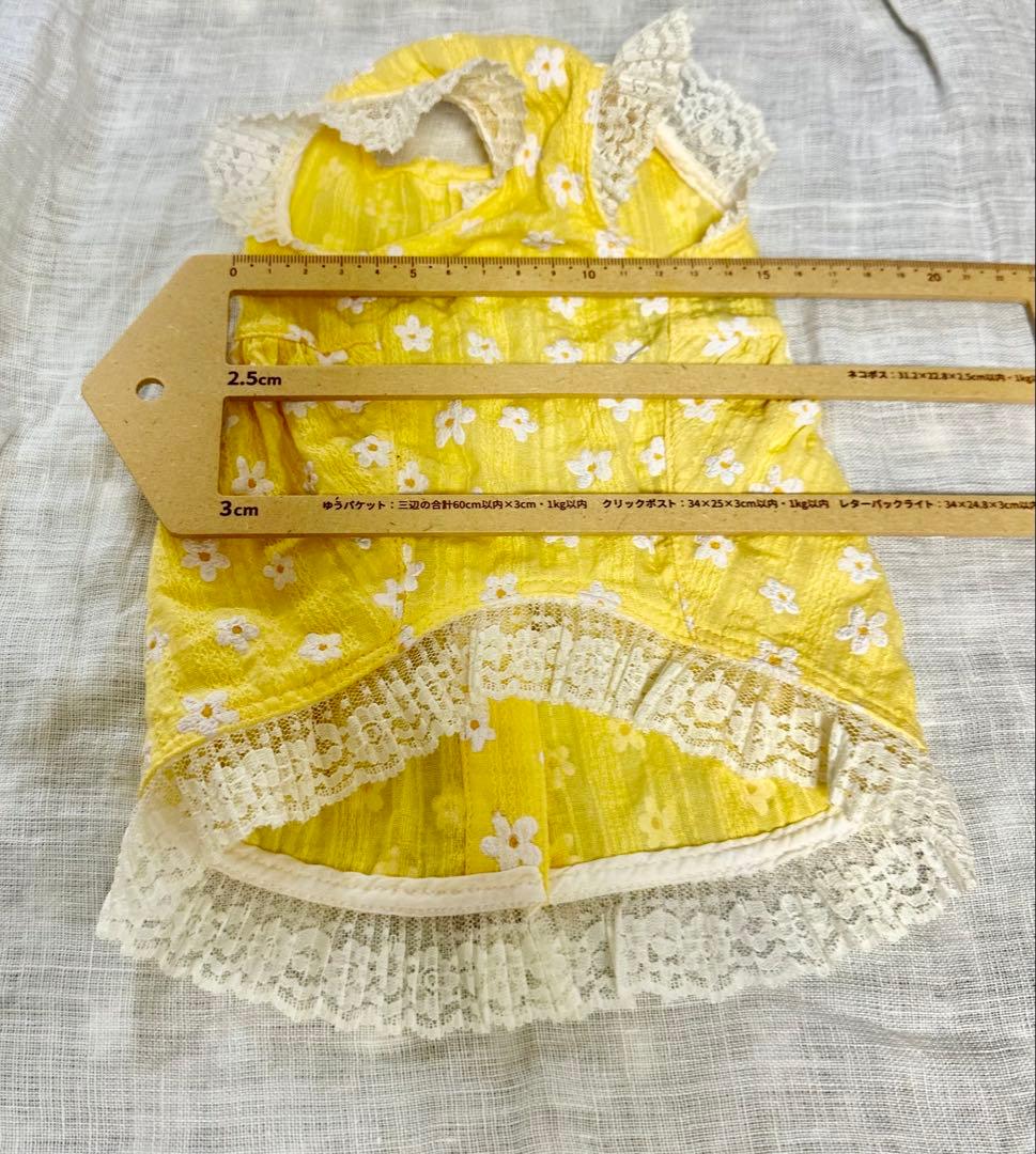 アトリエgg⭐︎ シークワーサーの花 ⭐︎ワンピース⭐︎１ハーフ