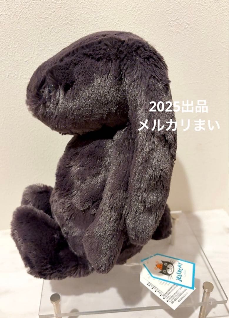  Medium Bashful Inky Bunny インキー黒