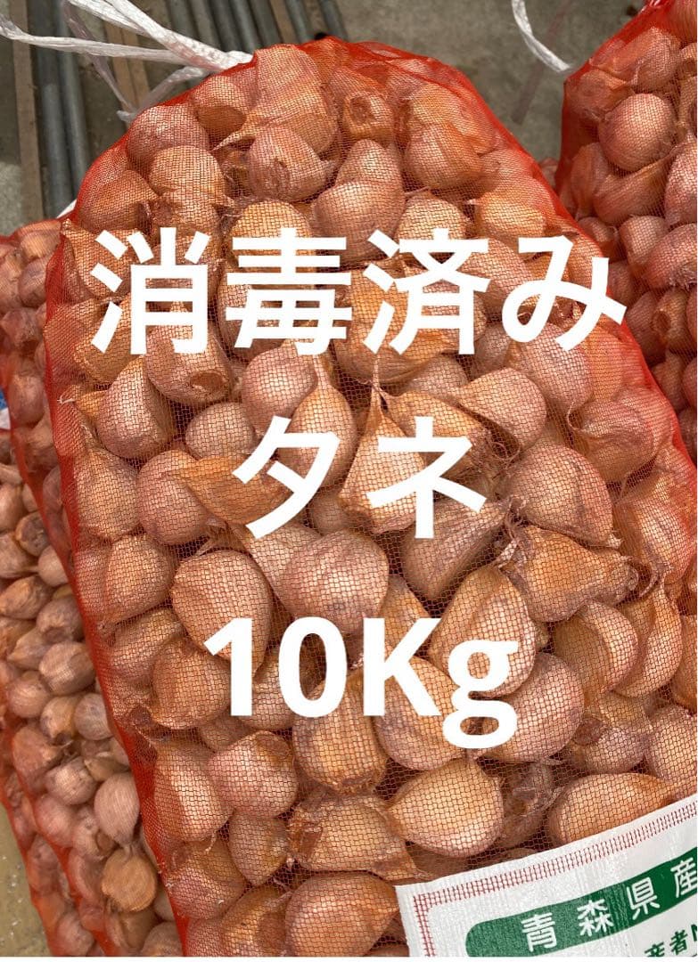 青森県にんにくタネ20KgM